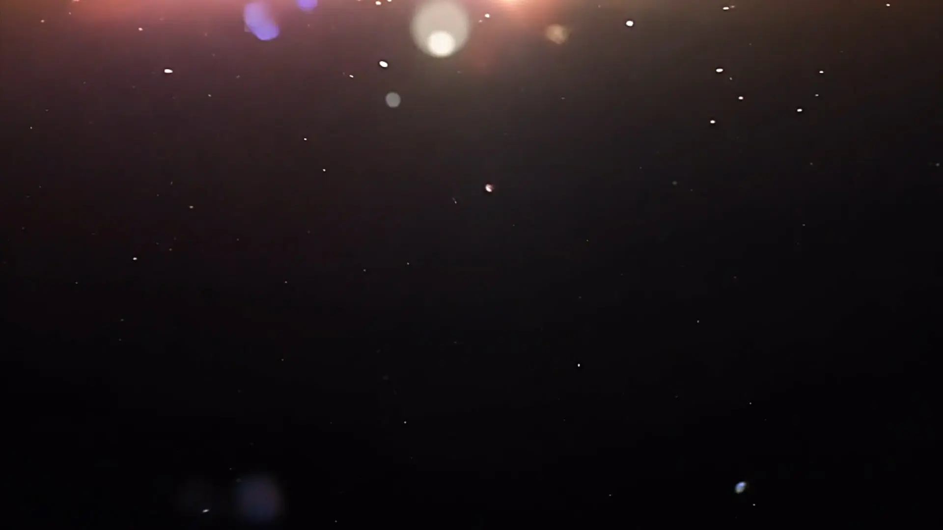 Soft Light Particle Overlay For Logo Reveals | Videos